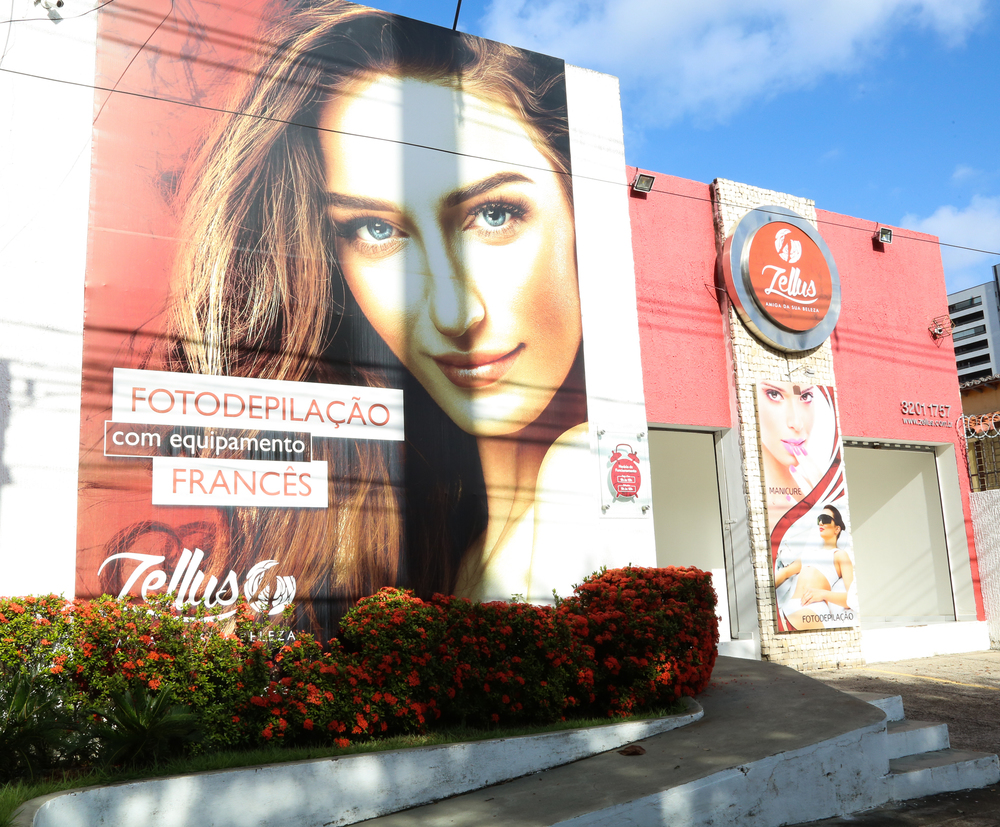 A Zellus - Zellus - Amiga da sua beleza