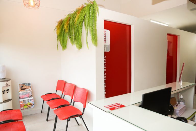 A Zellus - Zellus - Amiga da sua beleza